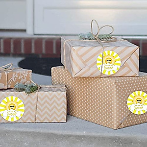 You are My Sunshine Stickers 1.5" Sending Sunshine Your Way Themed Thank You Customer Appreciation Stickers 500Pcs Sunshine Sticker Thank You Sticker for Small Business,Packaging,Envelope,Party Favors