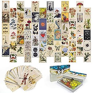 Wall Collage Kit Aesthetic Pictures, 60 Set 4x6 inch Plant Wall Collage , Botanical Vintage Wall Art Print, Retro Wall Collage Aesthetic Picture Room Decor for Teen Girls,Animal nature poster Small Posters