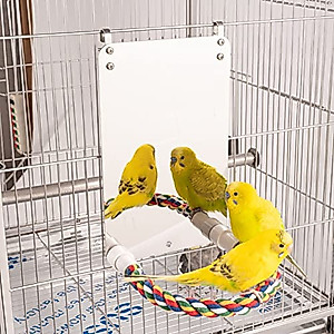 YITAQI Conure Cockatiel Cage Accessories with Rope Acrylic Brid Mirror Perch Stand Swing Parrot Toys(L)