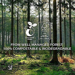 Paper Cocktail Straws 5 inch - 500 ct. Biodegradable Small Black Paper Drinking Straws Bulk for Short Drinks, Restaurant, Bar, Food Services