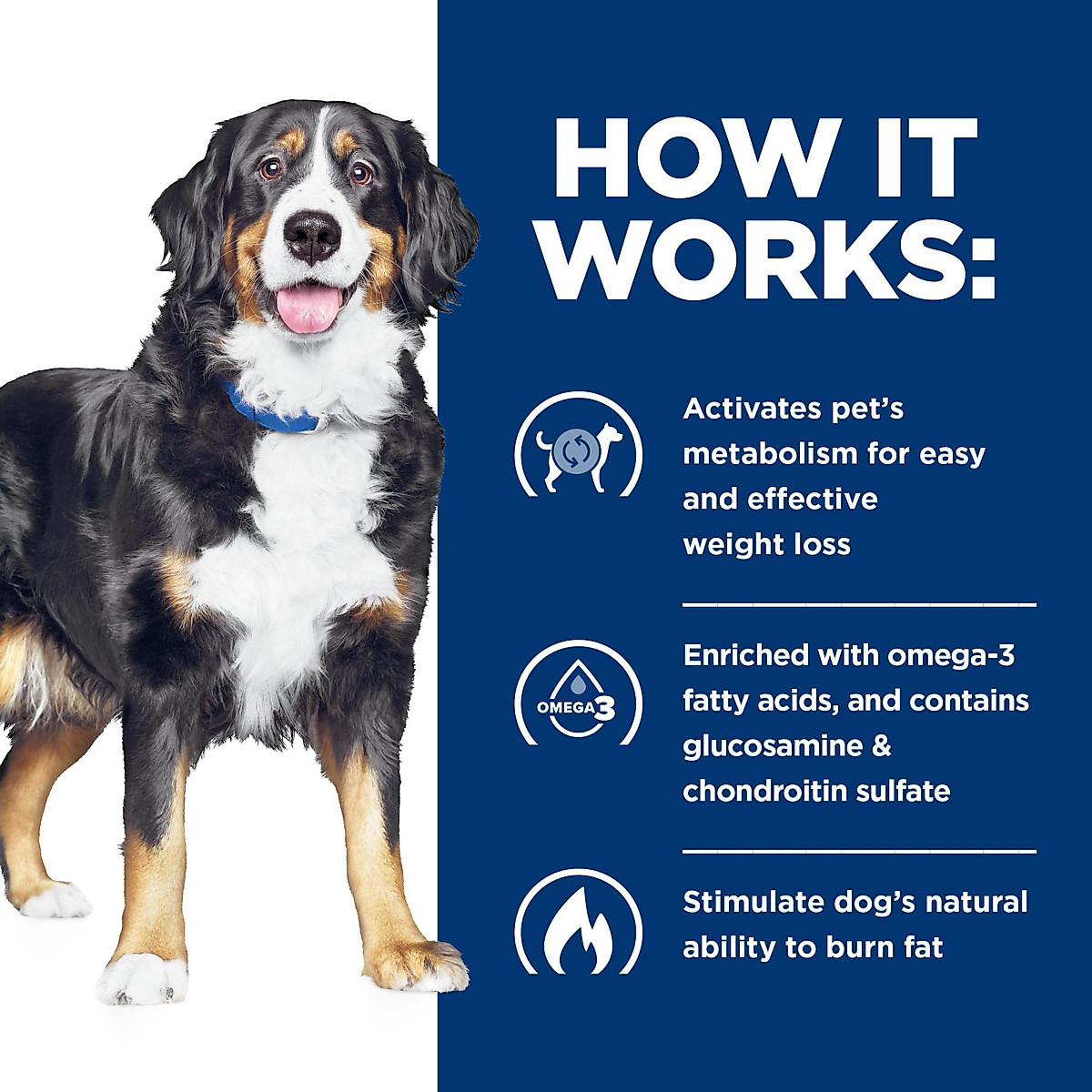 Hill's Prescription Diet Metabolic + Mobility, Weight + j/d Joint Care Vegetable & Tuna Stew Wet Dog Food, Veterinary Diet, 12.5 oz. Cans, 12-Pack