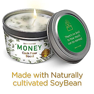MAGNIFICENT 101 Money Aromatherapy Candle for Getting a Cash Flow Boost - Sage Cinnamon Scented Natural Soybean Wax Tin Candle for Purification and Chakra Healing