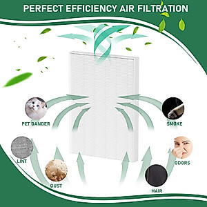 Carmerny AeraMax 300 True HEPA Filter Replacement Compatible with Fellowes AeraMax 290 300 DX95 Air Cleaner Purifier, HF-300/AP-300PH, Part# 9287201 True HEPA Only 3 Pack