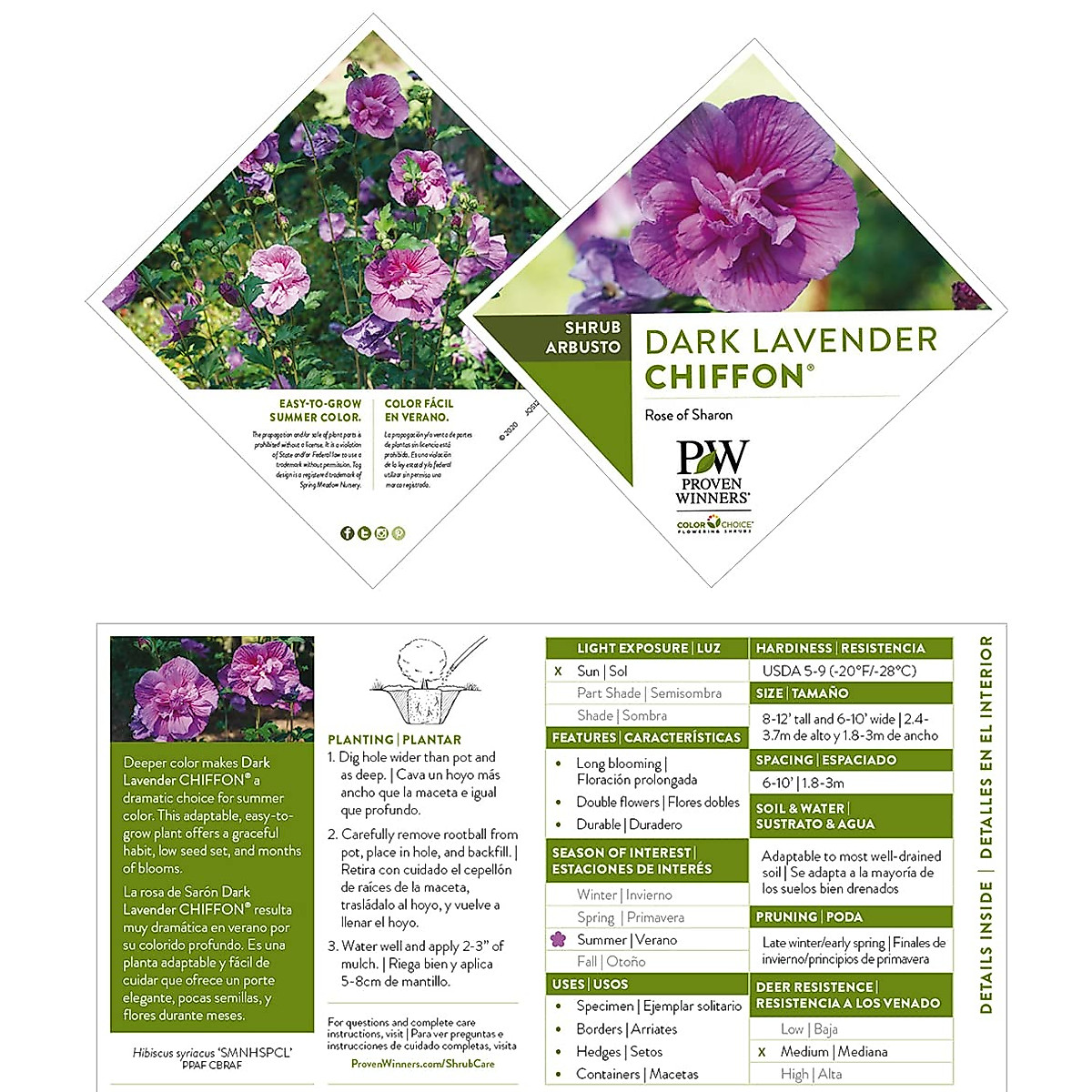 Proven Winner Chiffon Hibiscus, 2 Gal, Dark Lavender Flowers