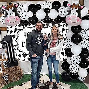 Holy Cow I'm One Birthday Decorations, Cow Farm Theme 1st Birthday Party Decorations for Boy, Black and White Cow Balloon Garland Arch Kit, Happy Birthday Backdrop, Cow Head Foil Balloons