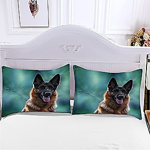 Quilt Cover Twin Size German Shepherd 3D Bedding Sets Shepherd Dog Duvet Cover Breathable Hypoallergenic Stain Wrinkle Resistant Microfiber with Zipper Closure,beding Set with 2 Pillowcase