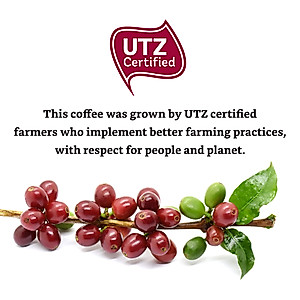 Amazon Brand - Solimo Lungo Capsules 50 CT, Compatible with Nespresso Original Brewers