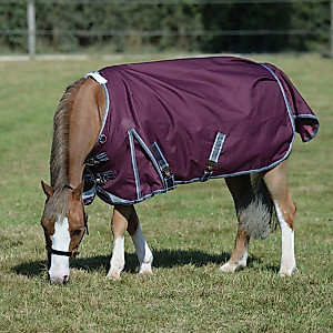 WeatherBeeta ComFiTec Plus Dynamic II Standard Neck Medium/Lite Horse Blanket, Maroon/Grey/White, 78"