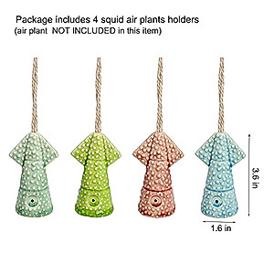 Mimeela 4 Pack Air Plant Holder Unique, Cute Squid Air Plant Hanger Wall Planter, Ceramic Tillandsia Airplants Holders Hanging Wall Decor for Home Office (Squid-Small (1.6 x 3.6 in))