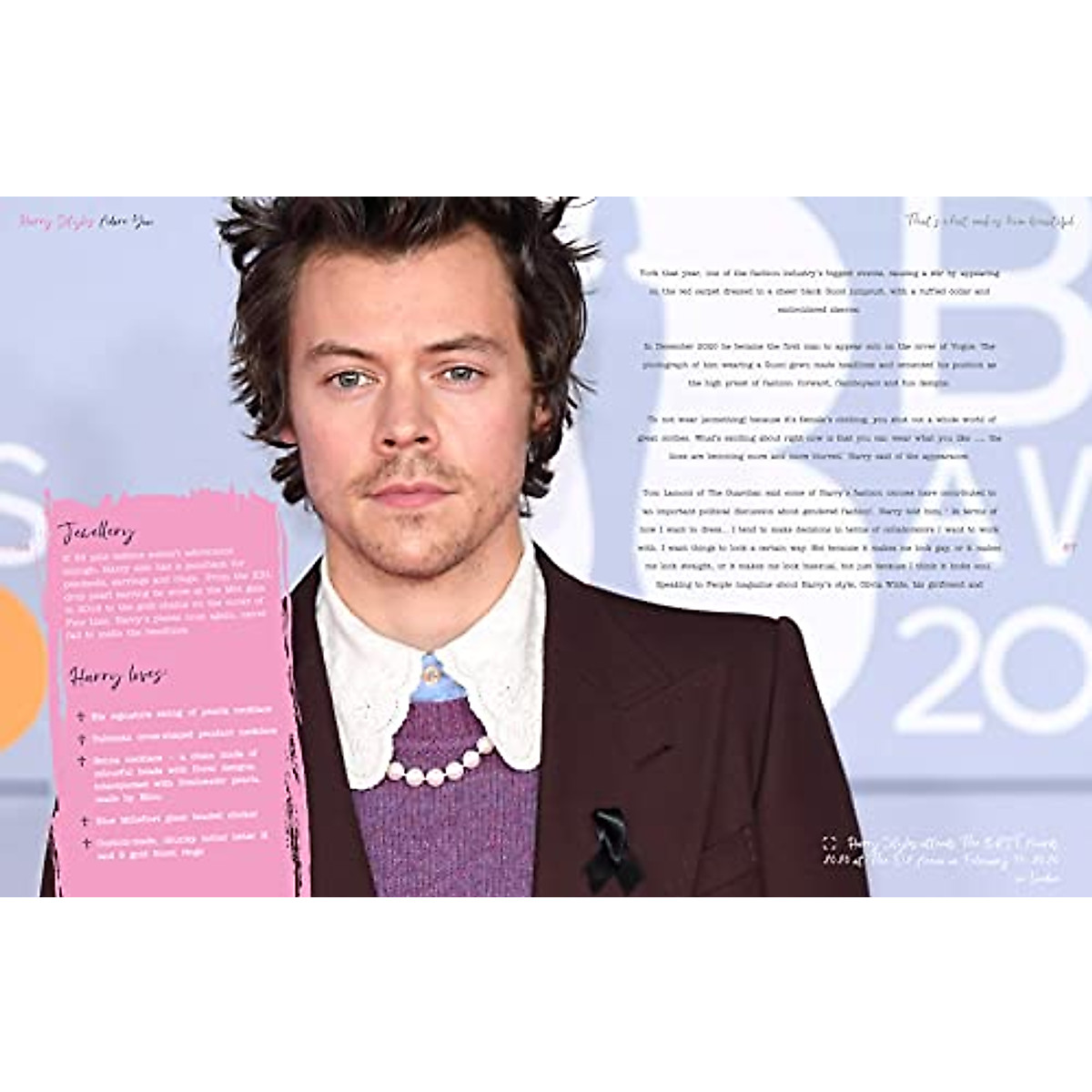 Harry Styles: Adore You: The Illustrated Biography