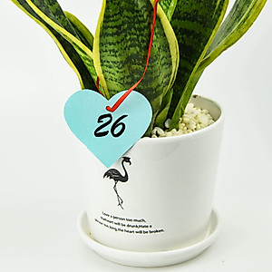 Lystaii 250pcs Heart Shape Paper Valentine Heart Confetti Blank Paper Tags Heart Cutouts 5 Color Gift Tags for Party Favors Wedding Decorations Baby Showers Thank You Card Christmas Cards (5 Color-B)