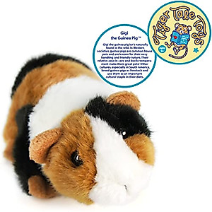 VIAHART Gigi The Guinea Pig - 6 Inch Stuffed Animal Plush - by Tiger Tale Toys