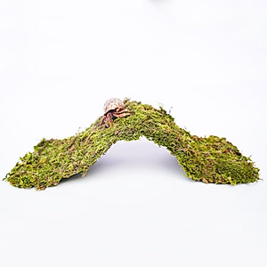 Begeterday Hermit Crab Climbing Toys, 13.5 inch Bendable Climbing Bridge, Ideal Hermit Crab Supplies for 10 Gallon Hermit Crab Tank