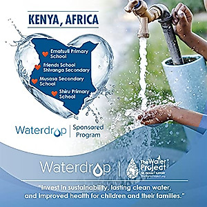 Waterdrop GSWF Refrigerator Water Filter, Replacement for GE® GSWF Smart Water 238C2334P001, Kenmore 46-9914, 469914, 9914, 3 Filters