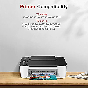 PGI-280XXL/CLI-281XXL for Canon Ink 280 and 281 Cartridges Replacement for Canon TR8620 Ink Cartridges High Page Yield Work for PIXMA TR8620 TR8620A TR7520 TS8220 TS6120, 6 Pack（PGBK, PB, B, C, M, Y