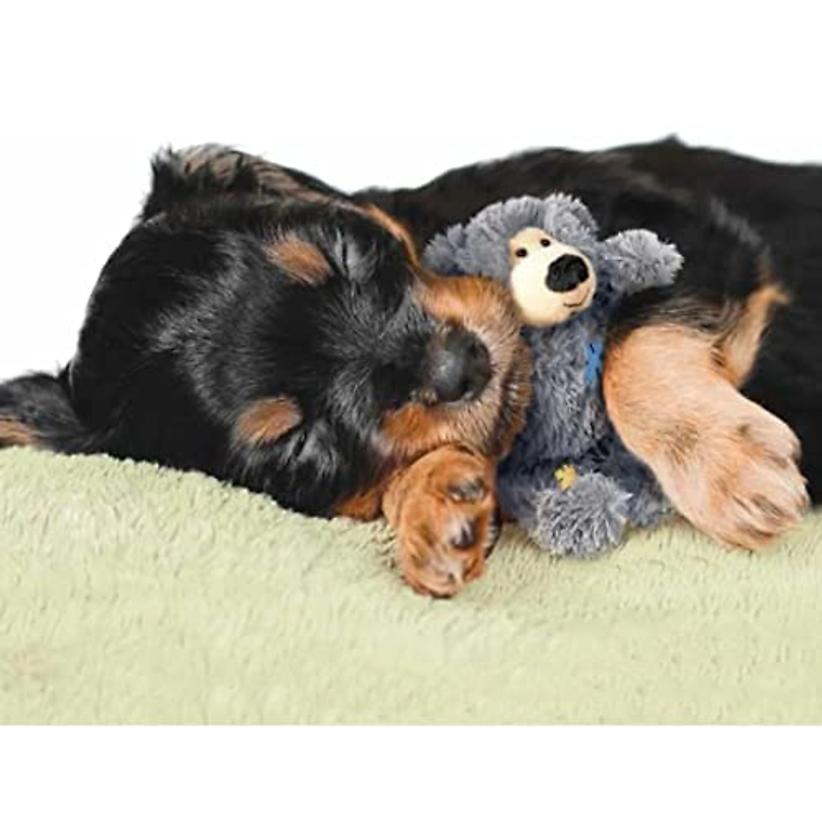 Kong Wild Knots Bears Durable Dog Toys Size:Small/Med Pack of 2 Small Breeds