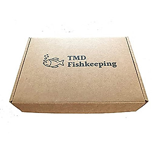 50 Water Spangles (Salvinia Minima) Live Floating Plants for Aquarium or Pond by TMDFishKeeping