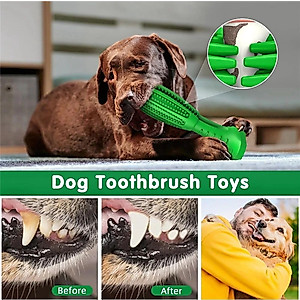 Hygiene Dog Teeth Cleaning Toy, Promote Dental Health, Durable Natural Rubber Chew Toy for Teeth Cleaning, Dog Toys for Chewers (Large)