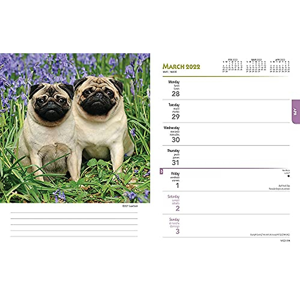 Pugs 2022 6 x 7.75 Inch Spiral-Bound Wire-O Weekly Engagement Planner Calendar | New Full-Color Image Every Week | Animals Dog Breeds Pets