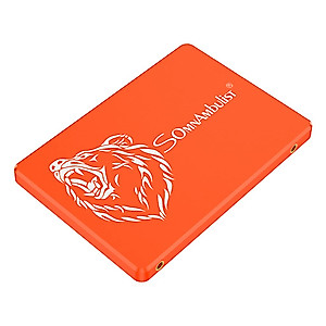 Somnambulist sata3 ssd 120gb 240gb 480gb 960gb 2.5 inch Hard Drive sata3 HDD ssd Laptop 2tb Solid State dr (Orange Bear 960GB)