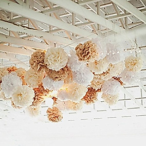 10PCS Mixed Cream Tan Brown White Party Tissue Paper Pom Poms Streamers Neutral Birthday Baby Shower Wedding Nursery Classroom Hanging Decoration