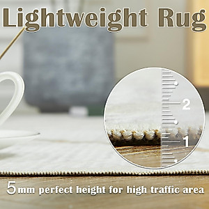 jinchan Area Rug 5x7 Modern Washable Rug Abstract Rug Geometric Grid Non Slip Accent Rug Thin Rug Indoor Floor Cover Beige Lines Contemporary Soft Rug Carpet Kitchen Living Room Bedroom Dining Room