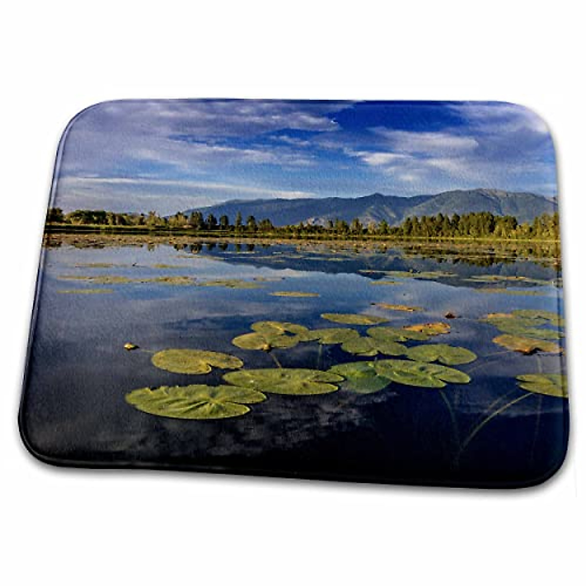 3dRose Lilly pads and Swan Range reflects into McWennger Slough,... - Dish Drying Mats (ddm-279220-1)
