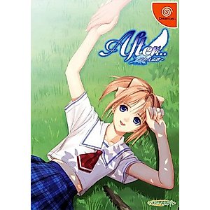 After: Wasureenu Kizuna [Japan Import]