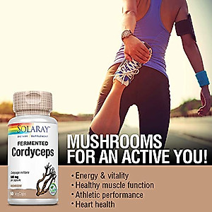 SOLARAY Fermented Cordyceps Mushroom 500 mg | Healthy Heart Function, Energy & Stamina Support | 60 VegCaps, 30 Servings
