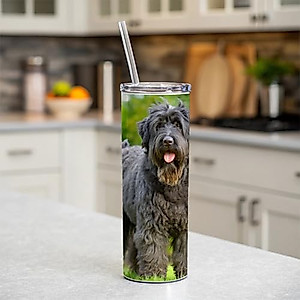 Bouviers Des Flandres Dog Photo Skinny Tumbler 20oz with Straw Insulated Water Bottle Gift
