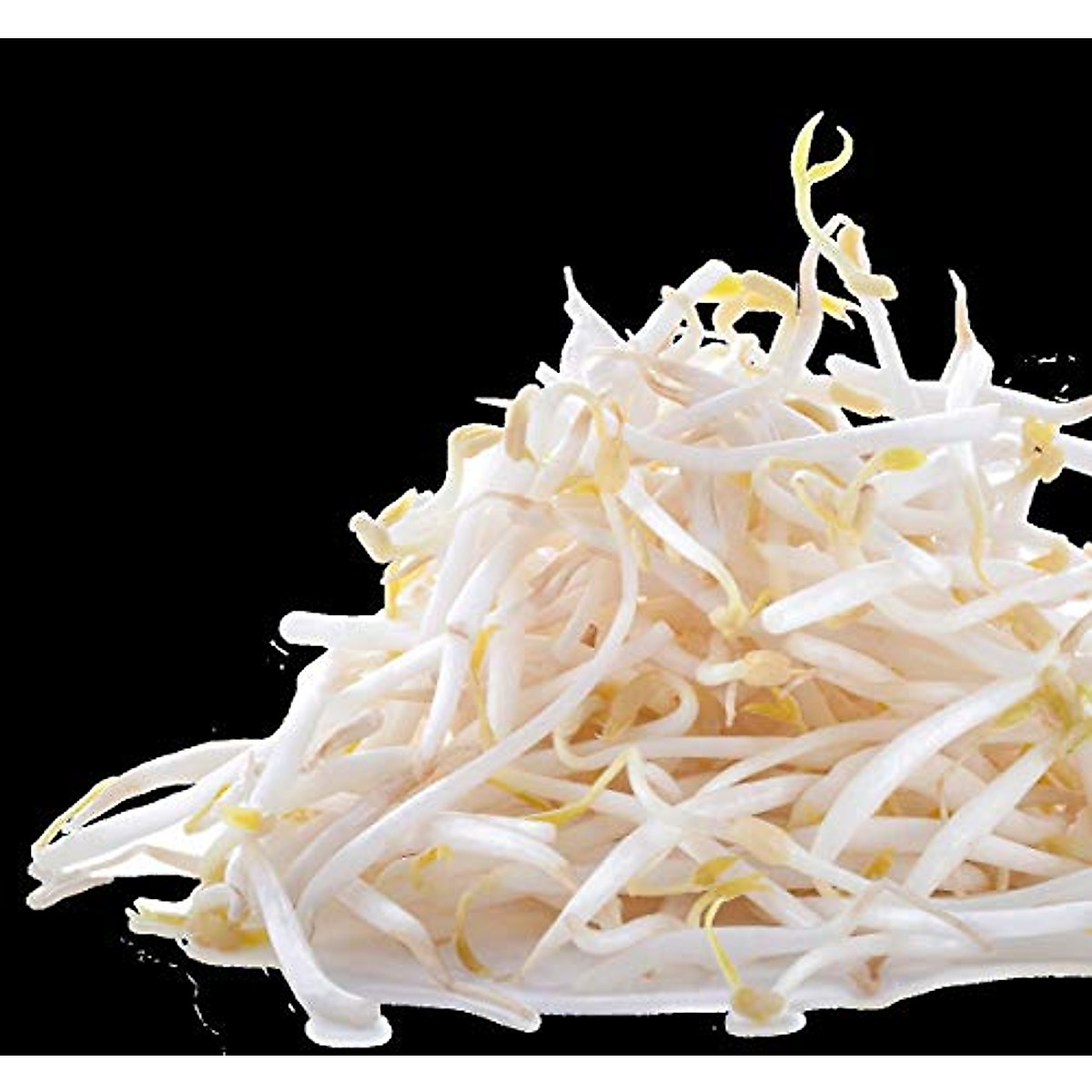 Nature Jims Mung Bean Sprout Seeds – 16 Oz Sprouting Seeds – Premium Mung Bean Seeds – NON GMO- Resealable Bag for Longer Freshness – Rich in Vitamins, Minerals, Fiber