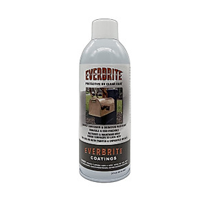 Everbrite 12 Oz. Aerosol Clear, Protective Coating for Metal