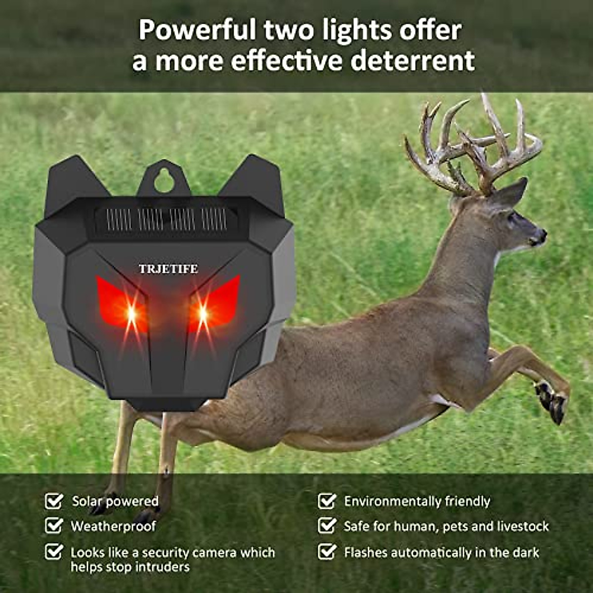 Careland 2 Pack Solar Powered Animal Repeller for Chicken Coop Livestock Farm Garden Night Time Predator Eyes Animal Deterrent Powerful Lights to Scare Away Coyote Deer Raccoon Skunk