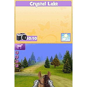 Pony Friends 2 - Nintendo DS