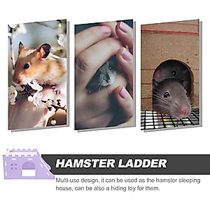 POPETPOP Guinea Pig Hamster Ladder House Plastic Rabbit Hideout Bunny Houses Small Chicken Castle Pet Rats Habitat Hedgehogs Chinchilla Climbing Play Hut for Indoor Pet Cage Violet