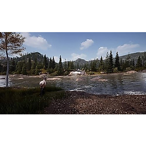 Hunting Simulator 2 (Xbox Series X)