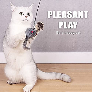 Otunrues Cat Feather Toys, Interactive Cats Toy for Indoor Cats, Hanging Cat Toys Doorway Retractable Cat Teaser Toy 4PCS Replaceable Natural Feathers Refills Play Exercise Puzzle Toys