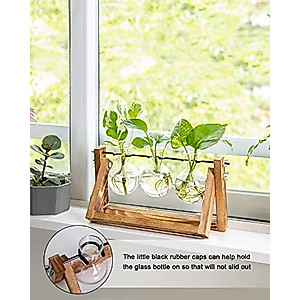 Ivolador Desktop Propagation Station, Bulb Plant Terrarium with Retro Solid Wooden Stand and Metal Swivel Holder for Hydroponics Plants Home Garden Wedding Decor (3 Bulb-C Type)