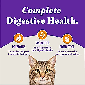 Halo Holistic Cat Food Dry, Cage-free Chicken Recipe, Complete Digestive Health, Dry Cat Food Bag, Adult Formula, 6-lb Bag