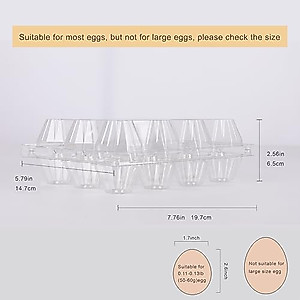 Gorander Clear Plastic Egg Cartons 60 Packs,Egg Tray Safely Holds 12 Egg，With Labels,Perfect For Refrigerator Chicken Farm Markets- Medium sized