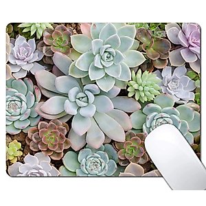 Cute Succulents Mouse Pad, Natural Plants Mousepad for Design, Anti-Slip Rubber Base Wireless Mouse Pads for Laptop