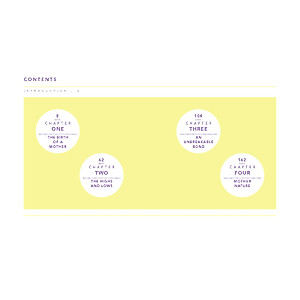 The Little Book of Mom: Little Words of Strength, Wisdom and Love (The Little Books of Humor & Gift, 5)