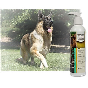 UltraCruz - sc-395126 Canine Pure Salmon Oil Supplement for Dogs, 8 oz
