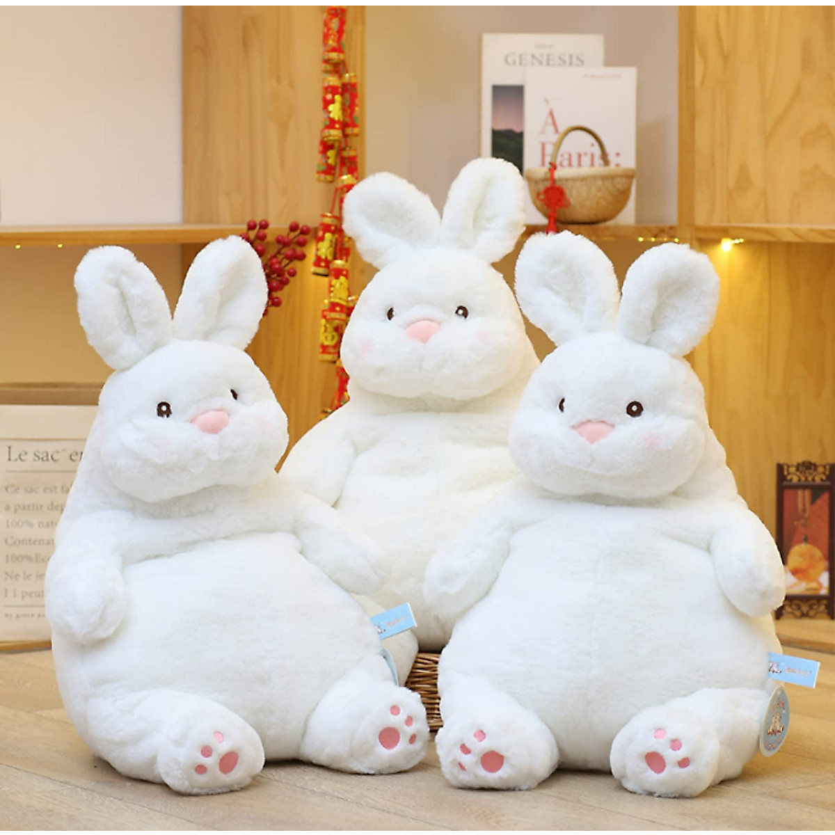 Alwoligag Rabbit Stuffed Animal Plush Toy, Rabbit Anime Body Pillow, Kawaii Plush Stuff Animal, Big Plushie Stuffed Dog Squishy Pillow Gifts for Boys Girls (24")