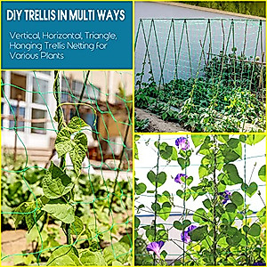 Trellis Netting for Climbing Plants, 6.6 x 16 Ft Cucumber Trellis Heavy Duty Garden Vegetables Grow Net for Fruits, Bean, Tomato, Garden Plants
