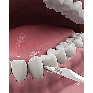 DenTek Comfort Clean Easy Reach Silky Y Shaped Floss Picks for Front & Back Teeth 6 x 60 Pack (360)