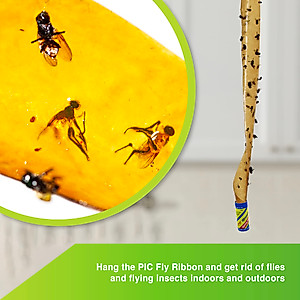 PIC FR10B 69060216325 Fly Ribbons Fruit Fly Traps for Indoors and Outdoors, Bug Trap for Winged Insects, Pack of 10