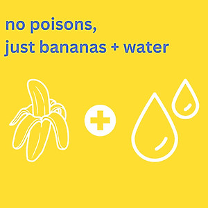 HUMALOGIC Natural Carpet Cleaner Solution | Natural Cleaner Powered by Bananas | Eliminate Dirt, Stains, and Odors Permanently with Nano-technology, Bananas, and Water | No Poisons, No Fragrance