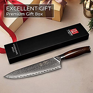 YARENH Damascus Chef Knife 8 Inch with Sheath, Professional Kitchen Knife, 73 Layers Japanese Damascus High Carbon Steel, Full Tang Sandalwood Handle, FYW Series