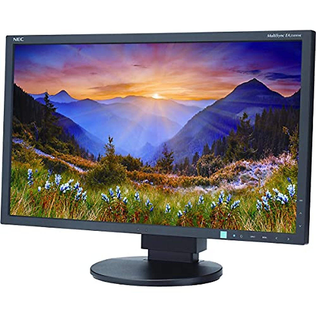 NEC EA234WMI-BK 23-Inch Screen LED-Lit Monitor,Black